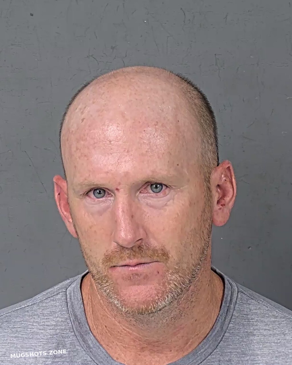 COLLINS DANIEL JOSEPH 08/10/2025 - Hernando County Mugshots Zone