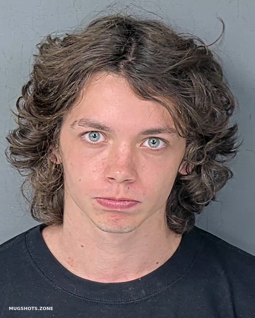 FENTON SETH IAN MICHAEL 08/13/2025 - Hernando County Mugshots Zone