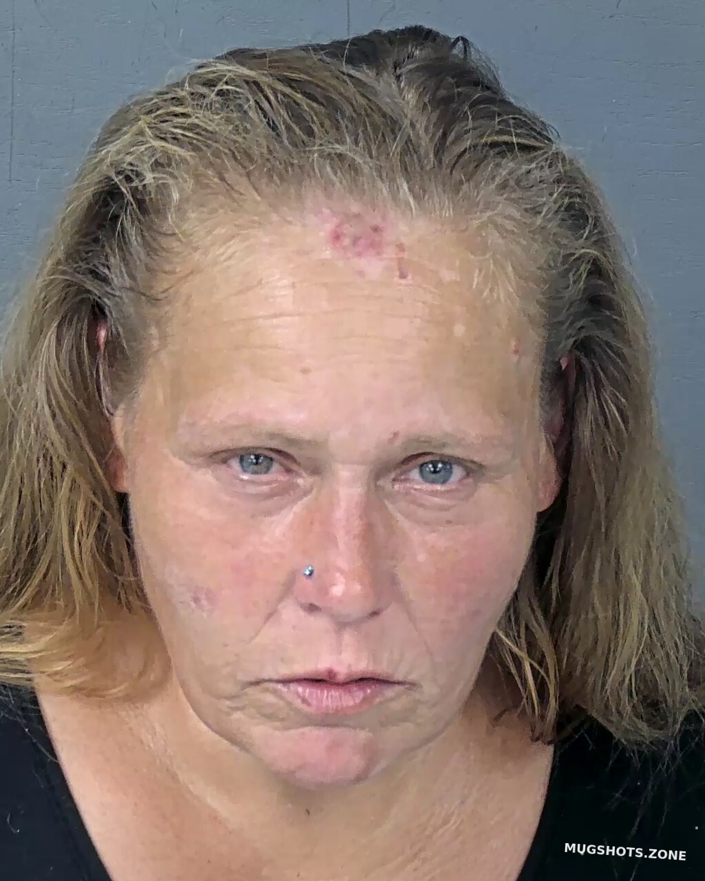 COOK BOBBIE JEAN 08/19/2025 - Hernando County Mugshots Zone
