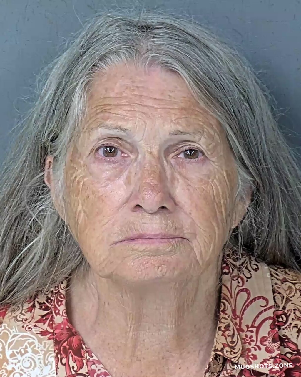 BERENDSEN SHIRLEY 09/05/2025 - Hernando County Mugshots Zone