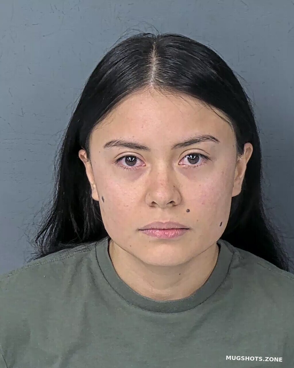 MADRID SANDRA 09/11/2025 - Hernando County Mugshots Zone