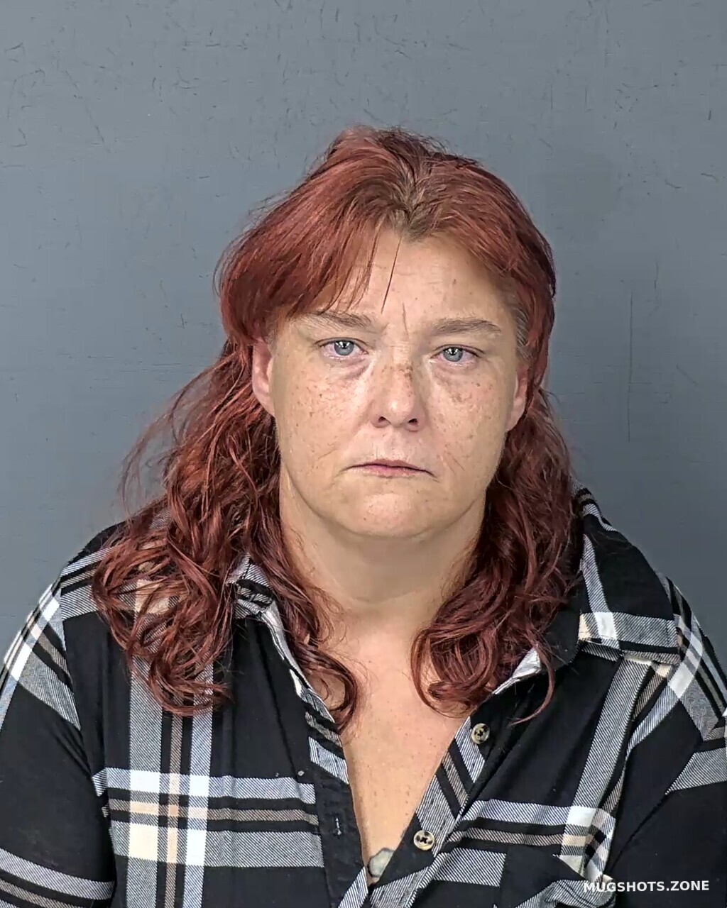 FALAGAN BRANDY NICOLE 09/15/2025 - Hernando County Mugshots Zone