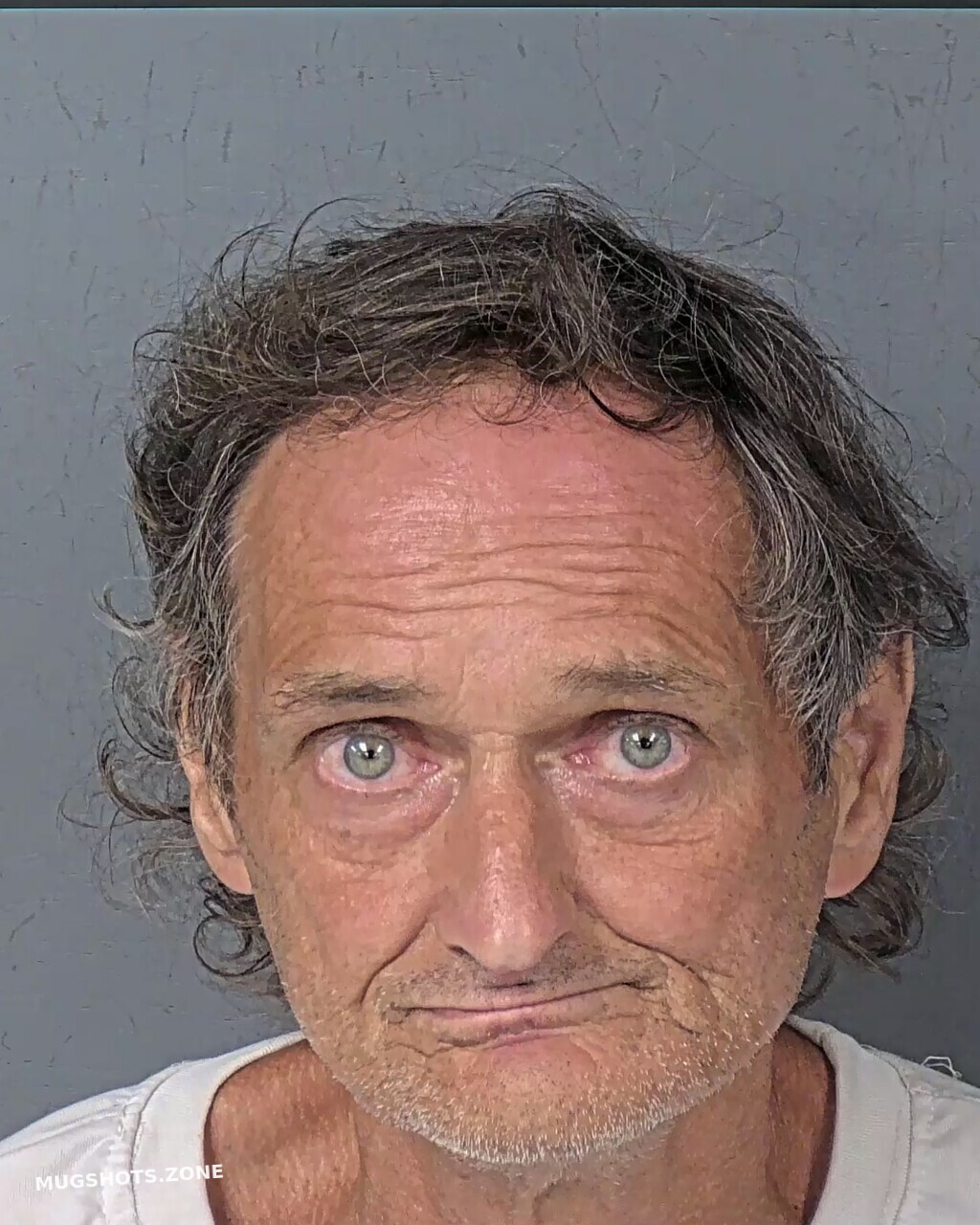 DOW BRIAN AARON 09/19/2025 - Hernando County Mugshots Zone