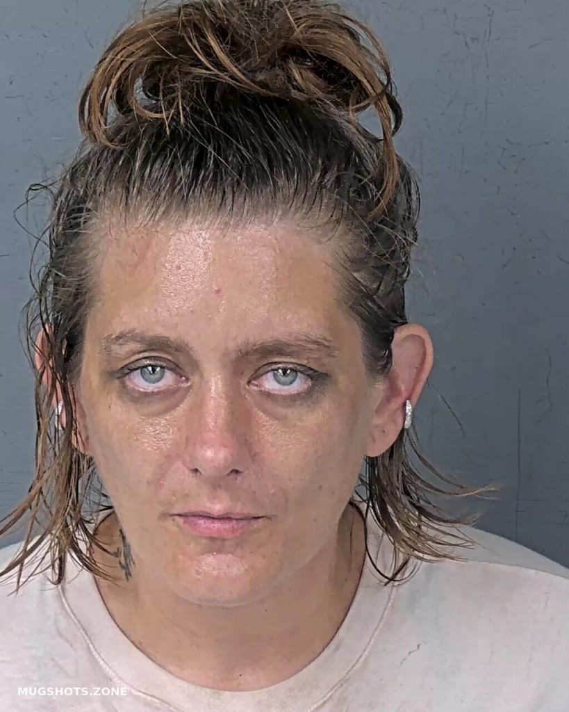 RITCHIE ASHLEY MARIE 09/20/2025 - Hernando County Mugshots Zone