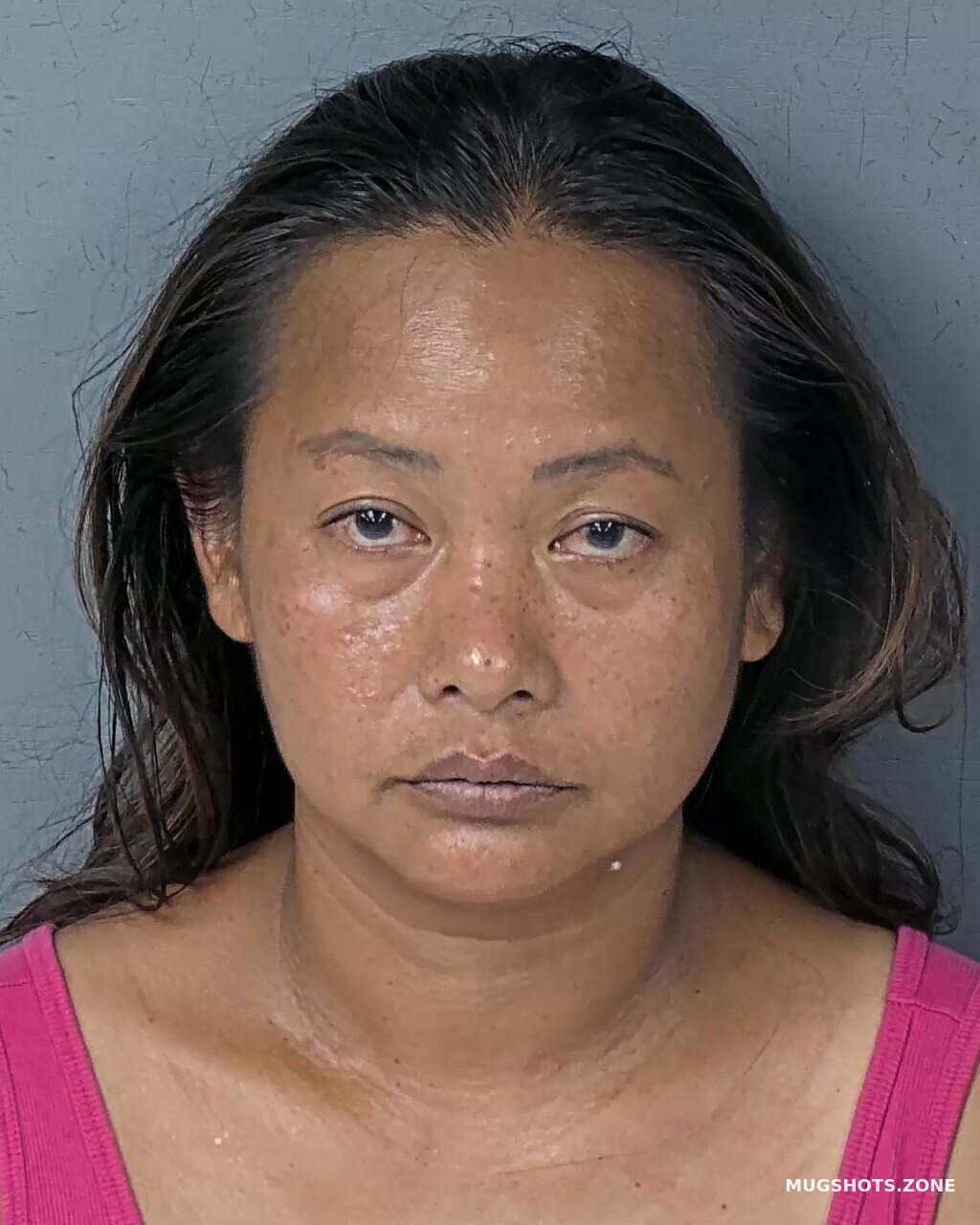 ANZENBERGER AMANDA FERN 09/22/2025 - Hernando County Mugshots Zone
