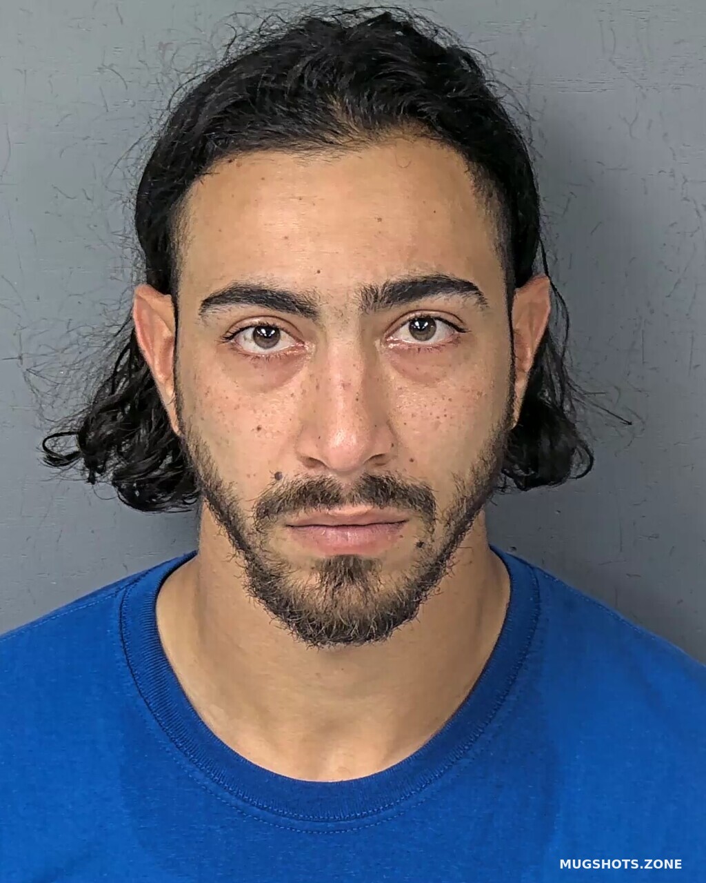 OLMO MATOS LUIS DANIEL 09/25/2025 - Hernando County Mugshots Zone