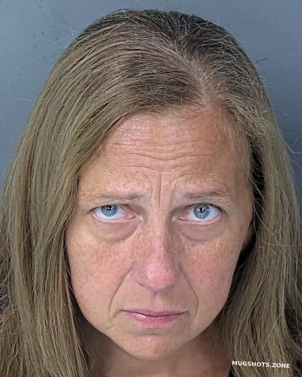 SORENSON DENISE RENEE 09/26/2025 - Hernando County Mugshots Zone