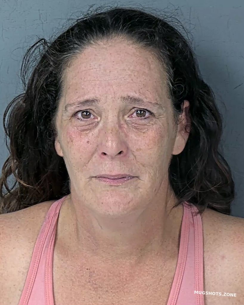 MICHAELSON COLLEEN ANN 09/26/2025 - Hernando County Mugshots Zone