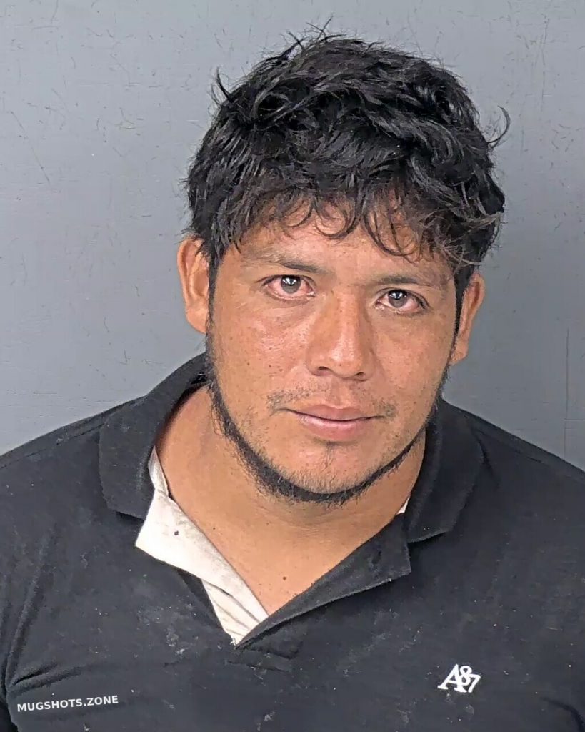 GOMEZ MUNGUIA NELSON 09/29/2025 - Hernando County Mugshots Zone