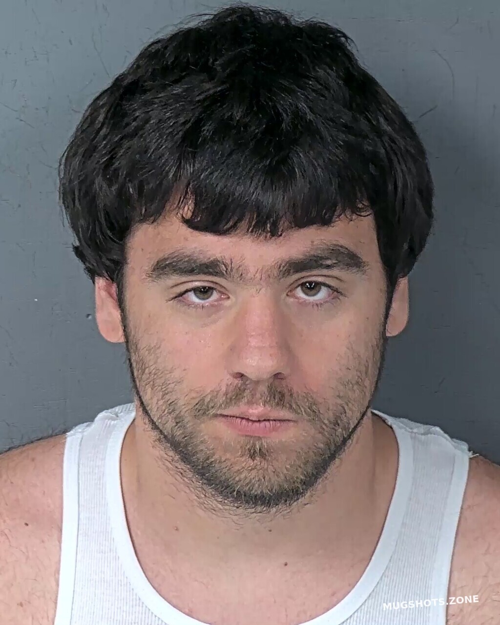 MENDES ADAM AURELIO 10/01/2025 - Hernando County Mugshots Zone