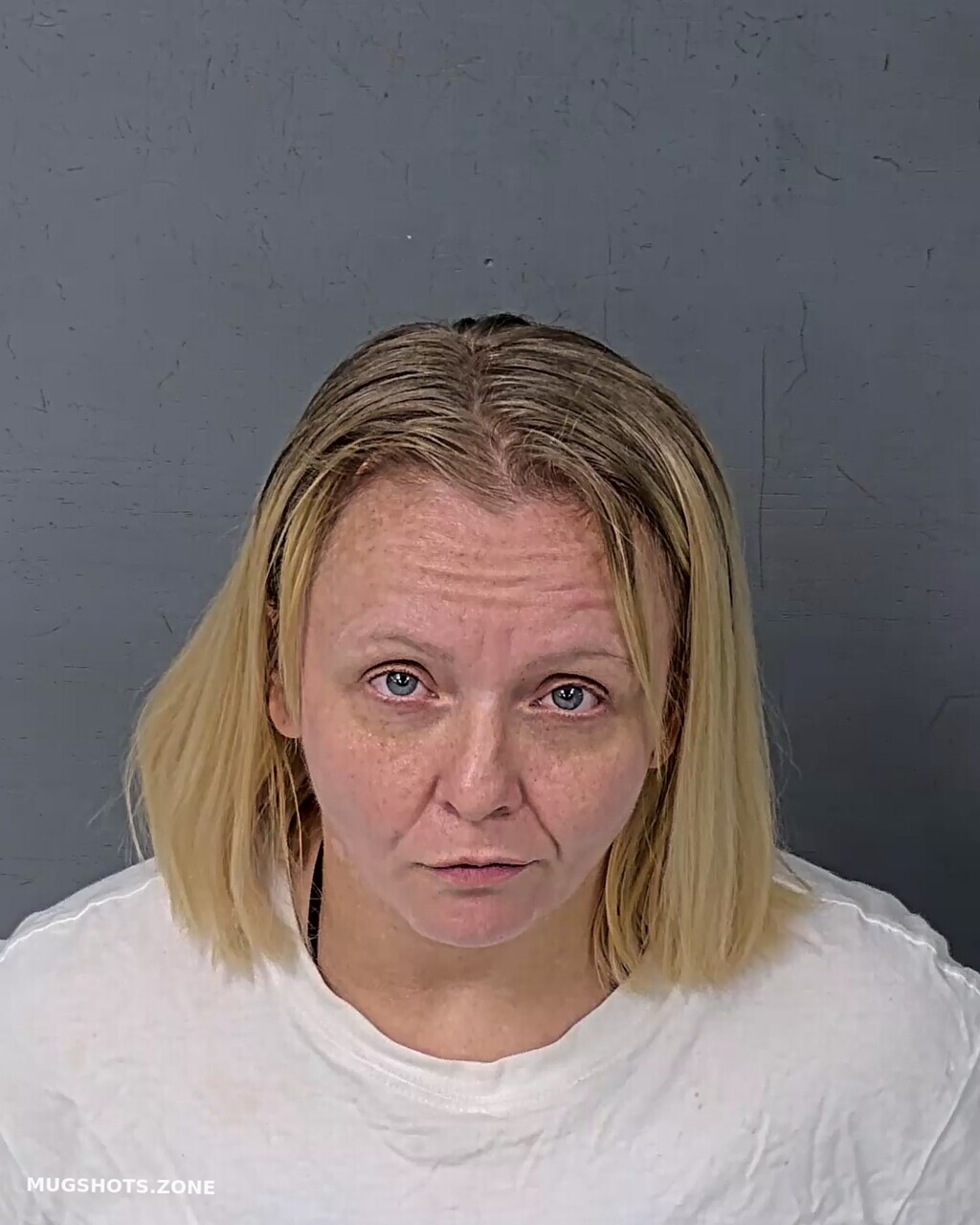 CARROLL TERRY MAUREEN 10/02/2025 - Hernando County Mugshots Zone