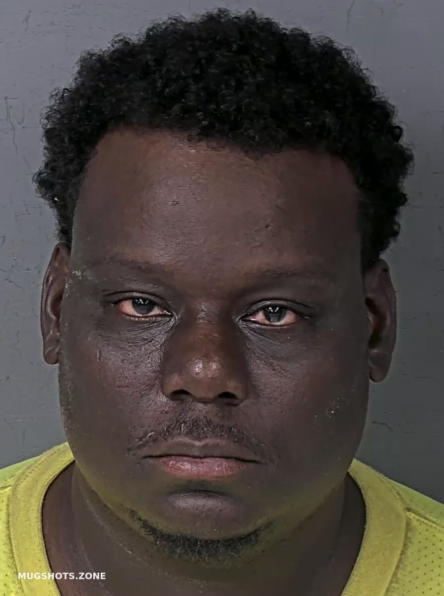 REID MICHAEL ANTHONY 10/02/2025 - Hernando County Mugshots Zone