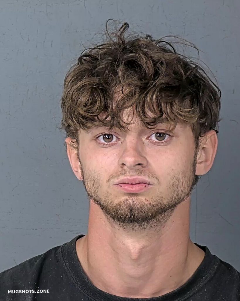 DAYE ALEXANDER MICHEAL 10/08/2025 - Hernando County Mugshots Zone