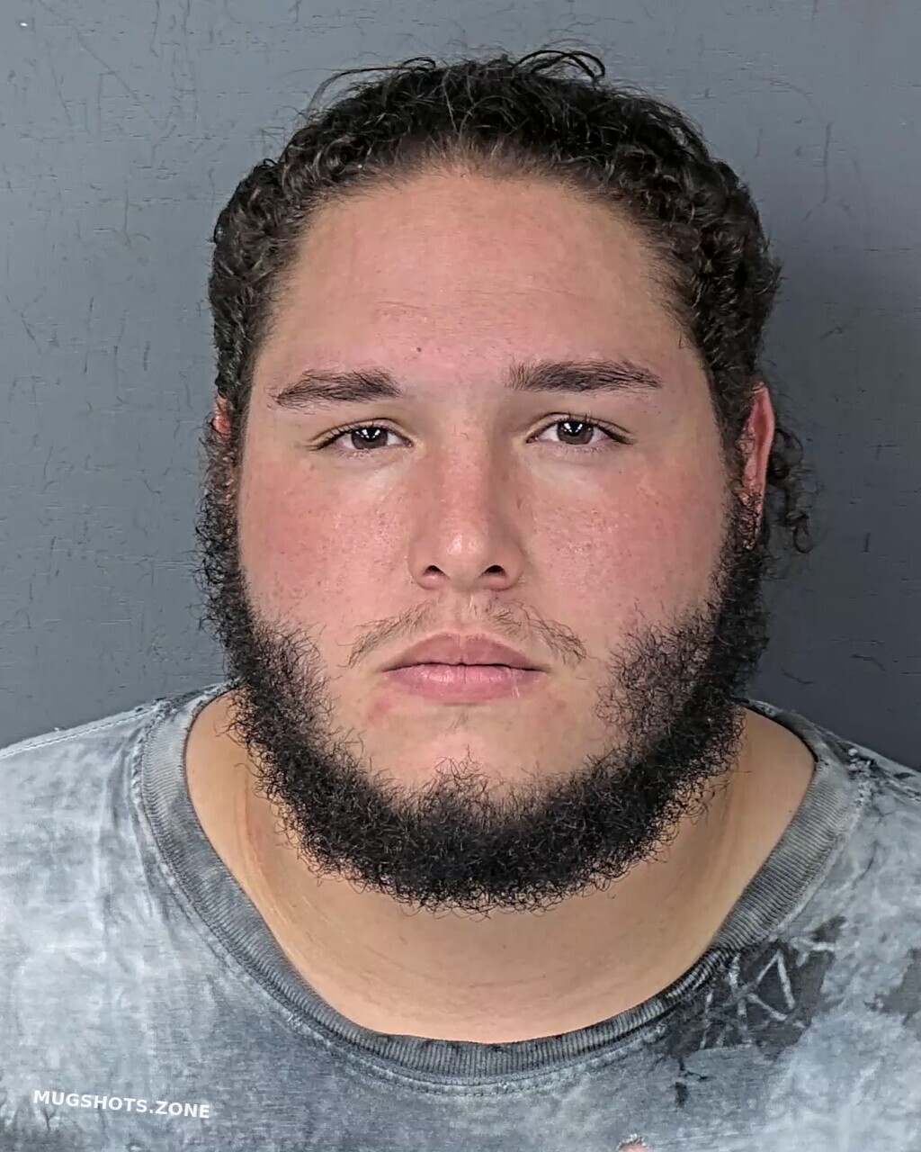 GONZALEZ PEREZ SHAWN ANGEL 10/13/2025 - Hernando County Mugshots Zone