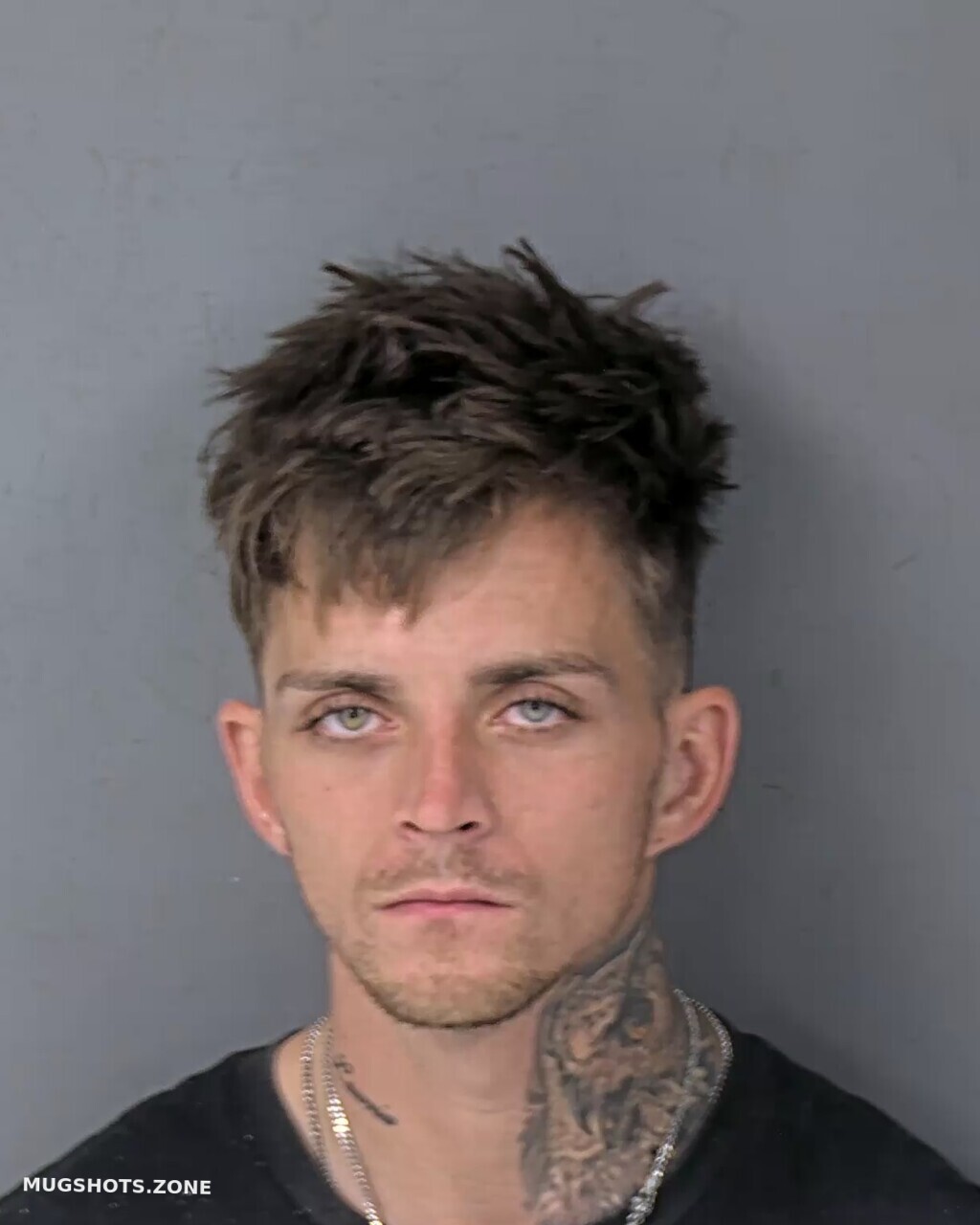 SOLTIWSKY KYLE RAY NIPPER 10/15/2025 - Hernando County Mugshots Zone