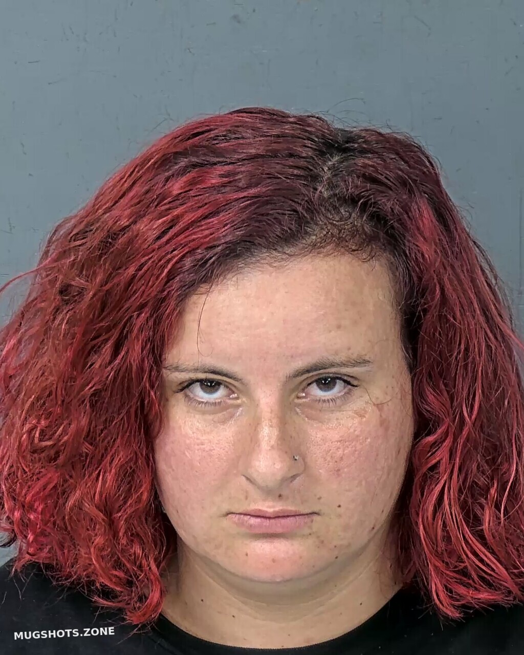 REH CAMILA MICHELLE 10/28/2025 - Hernando County Mugshots Zone