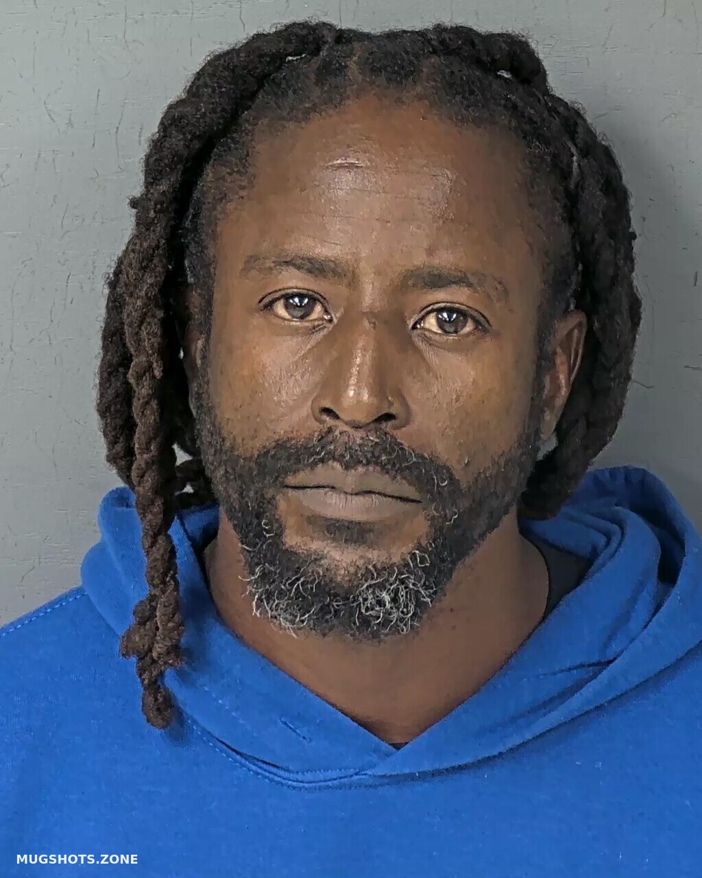 MCFARLANE ERROL ANTHONY 10/29/2025 - Hernando County Mugshots Zone