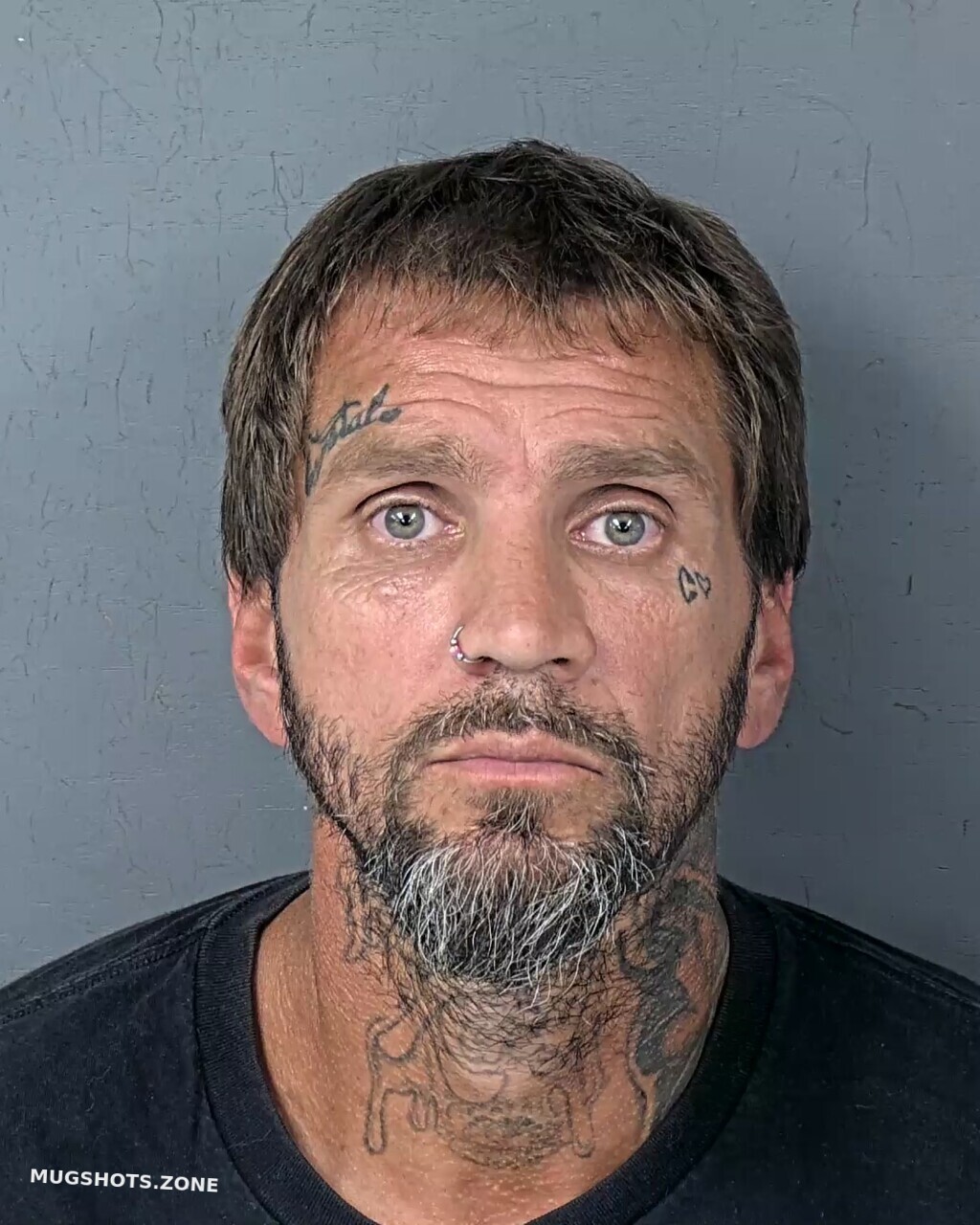 HUEY TIMOTHY BURL 10/30/2025 - Hernando County Mugshots Zone
