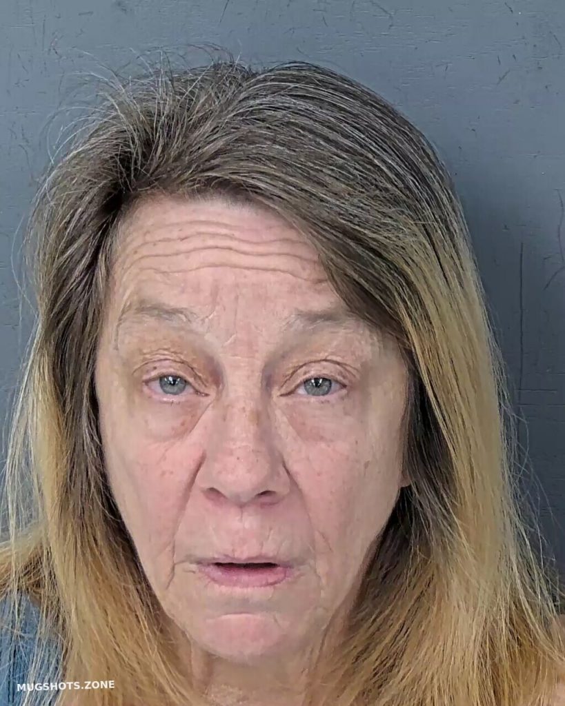 SULLIVAN MARJORIE FREY 10/30/2025 - Hernando County Mugshots Zone