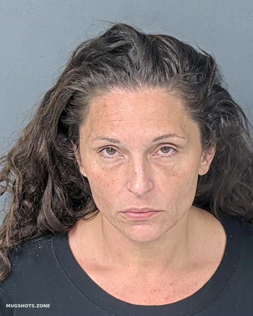 JOHNS JENNIFER LOUISE 10/31/2025 - Hernando County Mugshots Zone