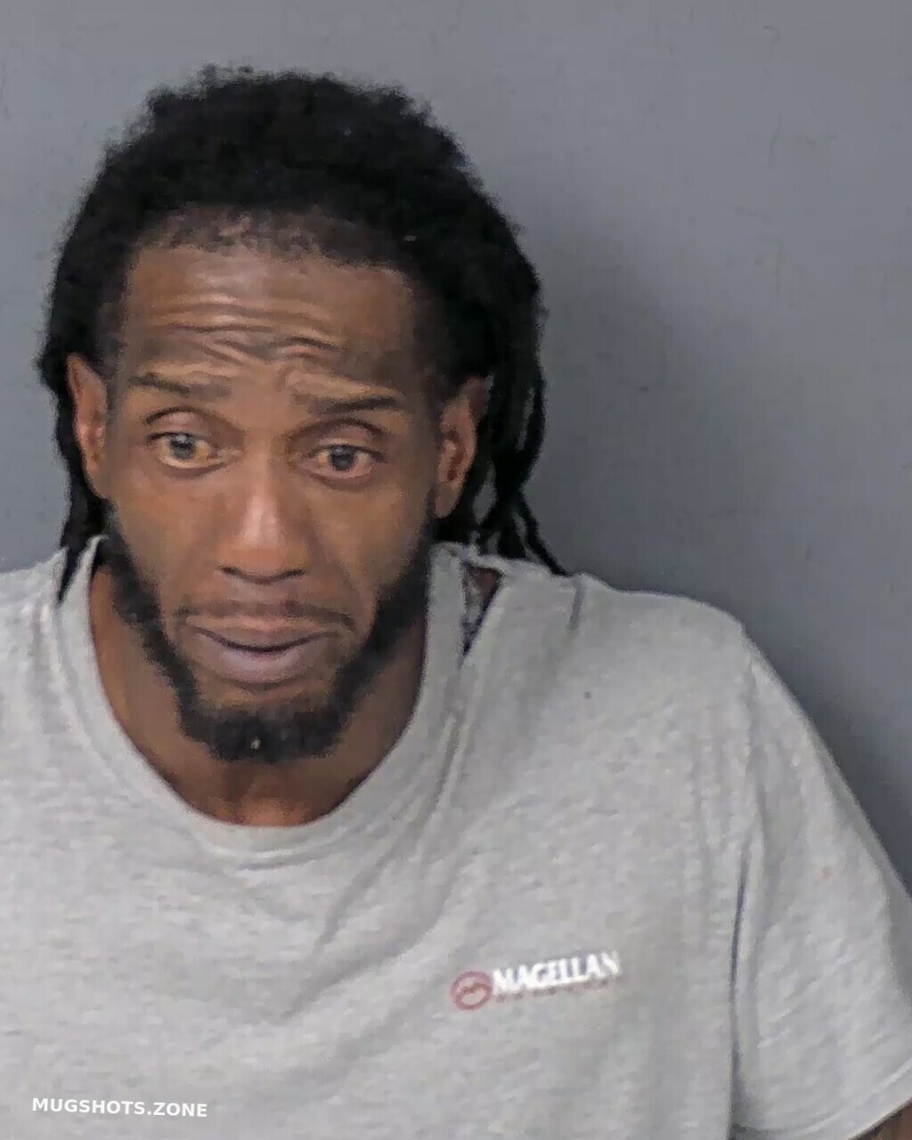 WILLIAMS MARVIN LOUIS 11/04/2025 - Hernando County Mugshots Zone