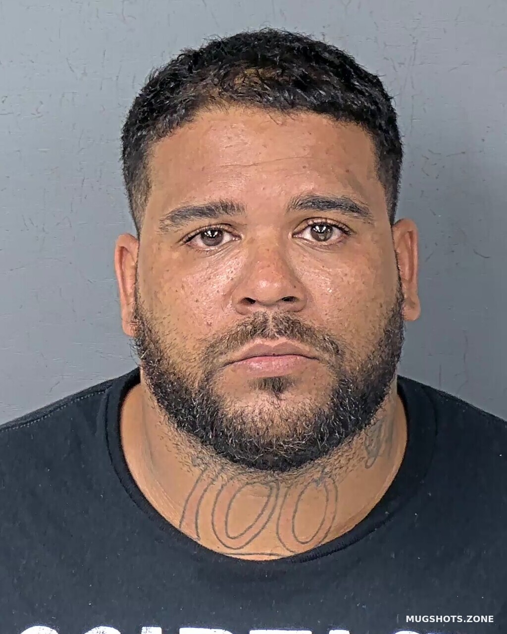 MCKELLAR KEVIN LAKE 11/05/2025 - Hernando County Mugshots Zone