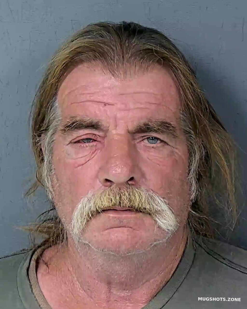 PHELPS RICHARD PAUL 11/12/2025 - Hernando County Mugshots Zone