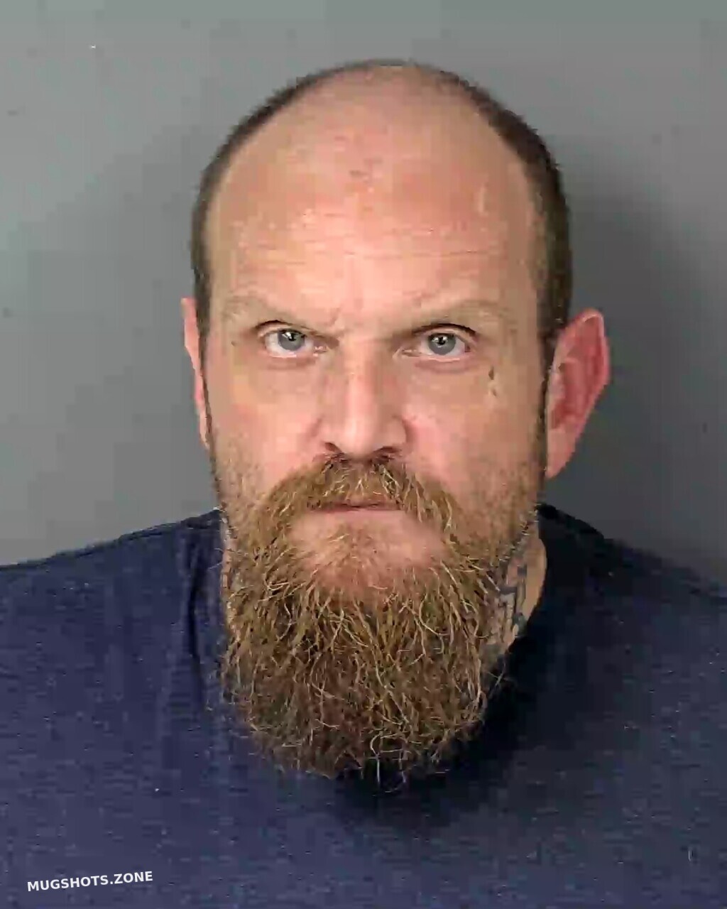 AASKOV MATTHEW ALAN 11/20/2025 - Hernando County Mugshots Zone