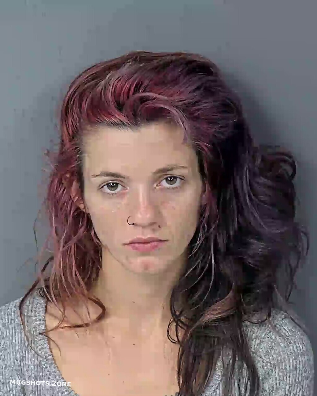 WILLIAMS AURORA PIPER-LILLY 11/21/2025 - Hernando County Mugshots Zone
