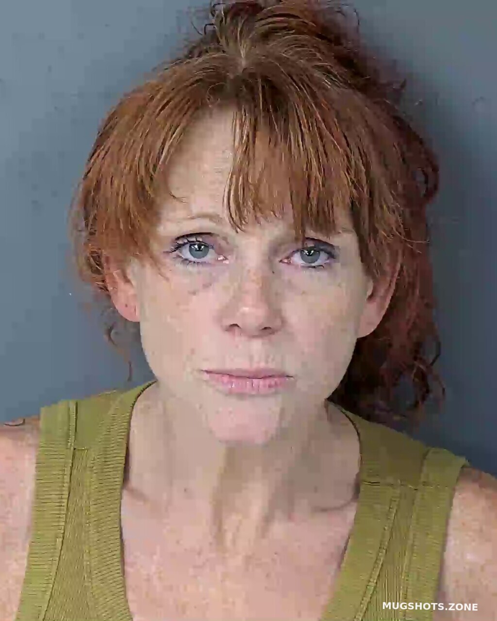 MOREHEAD AMY MICHELLE 11/21/2025 - Hernando County Mugshots Zone