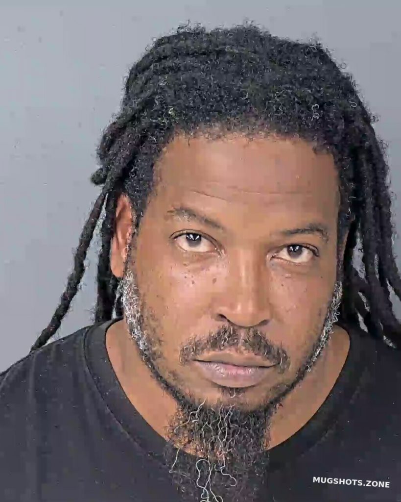 GREEN IRVINE 11/23/2025 - Hernando County Mugshots Zone