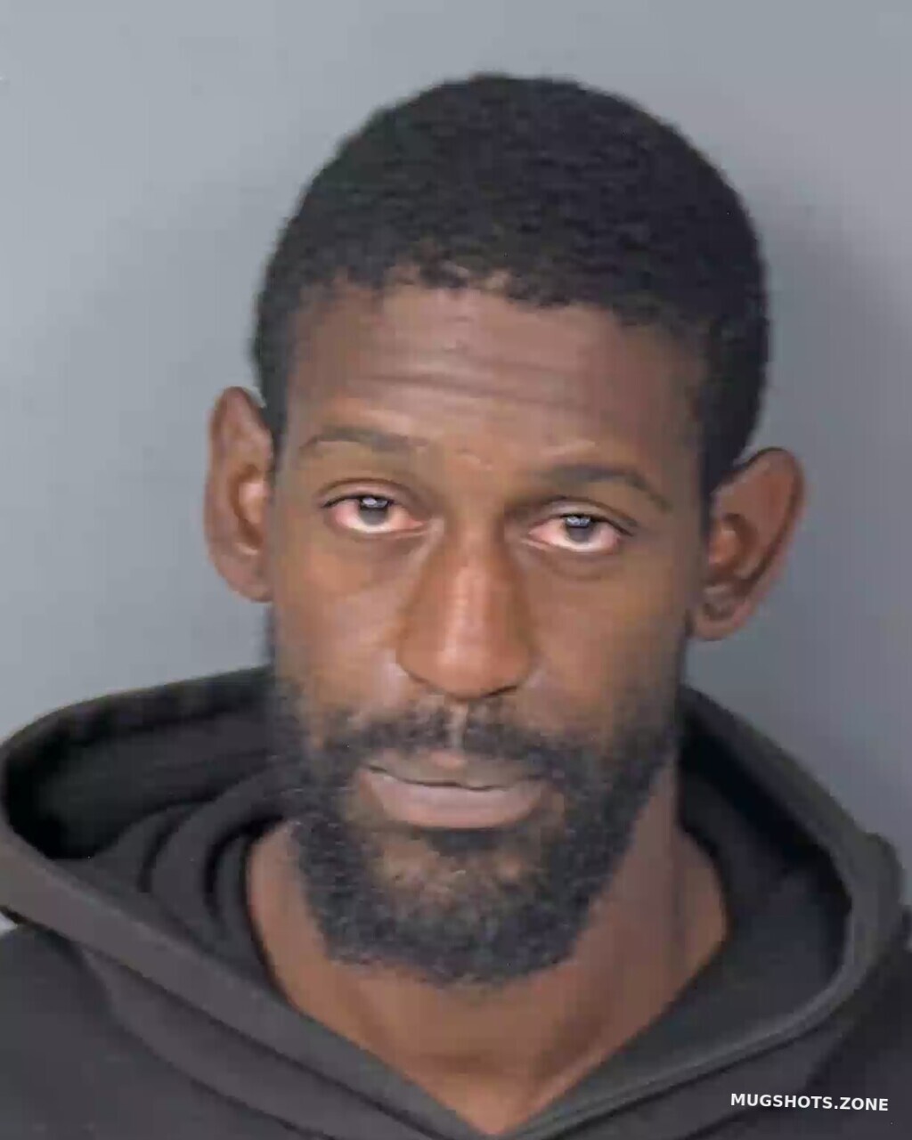 WILSON TEDDY LAMAR 11/28/2025 - Hernando County Mugshots Zone