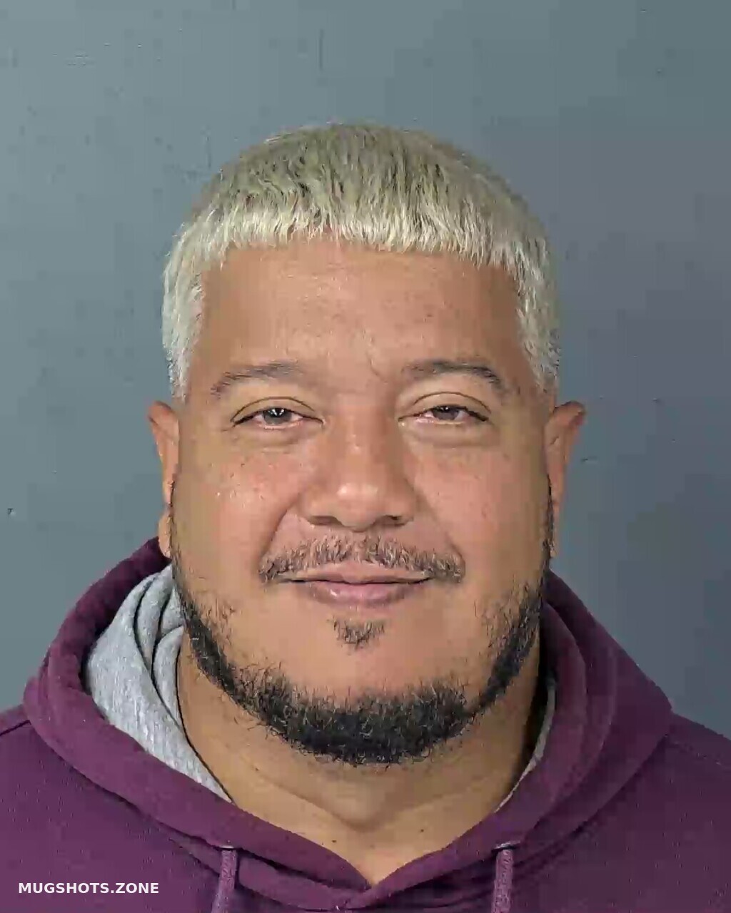FERRER LOPEZ MIGUEL GABRIEL 12/10/2025 - Hernando County Mugshots Zone