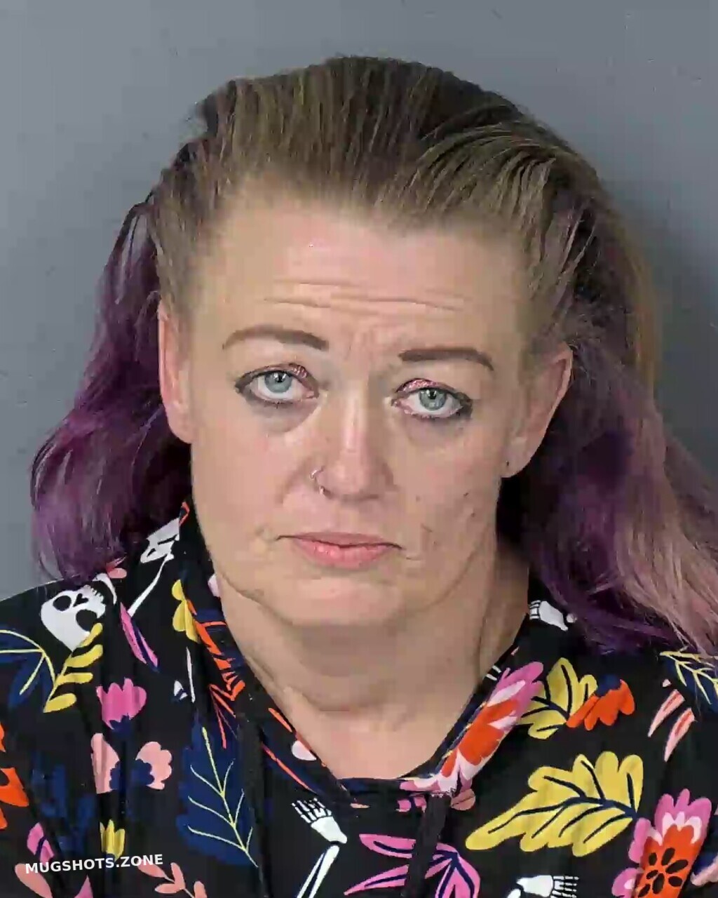HOVIS CRYSTAL MAE 12/12/2025 - Hernando County Mugshots Zone