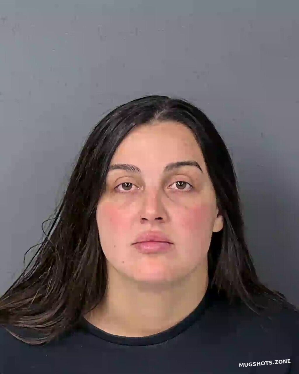 ESTEVEZ ANN MARIE 12/21/2025 - Hernando County Mugshots Zone