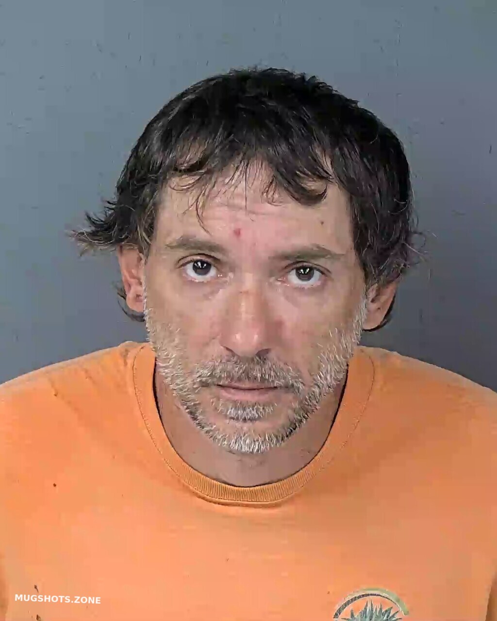 GOINS THOMAS CLAYTON 12/23/2025 - Hernando County Mugshots Zone