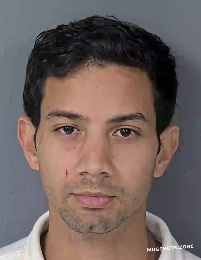 LIZARDO ALLEN SEBASTIAN 12/24/2025 - Hernando County Mugshots Zone
