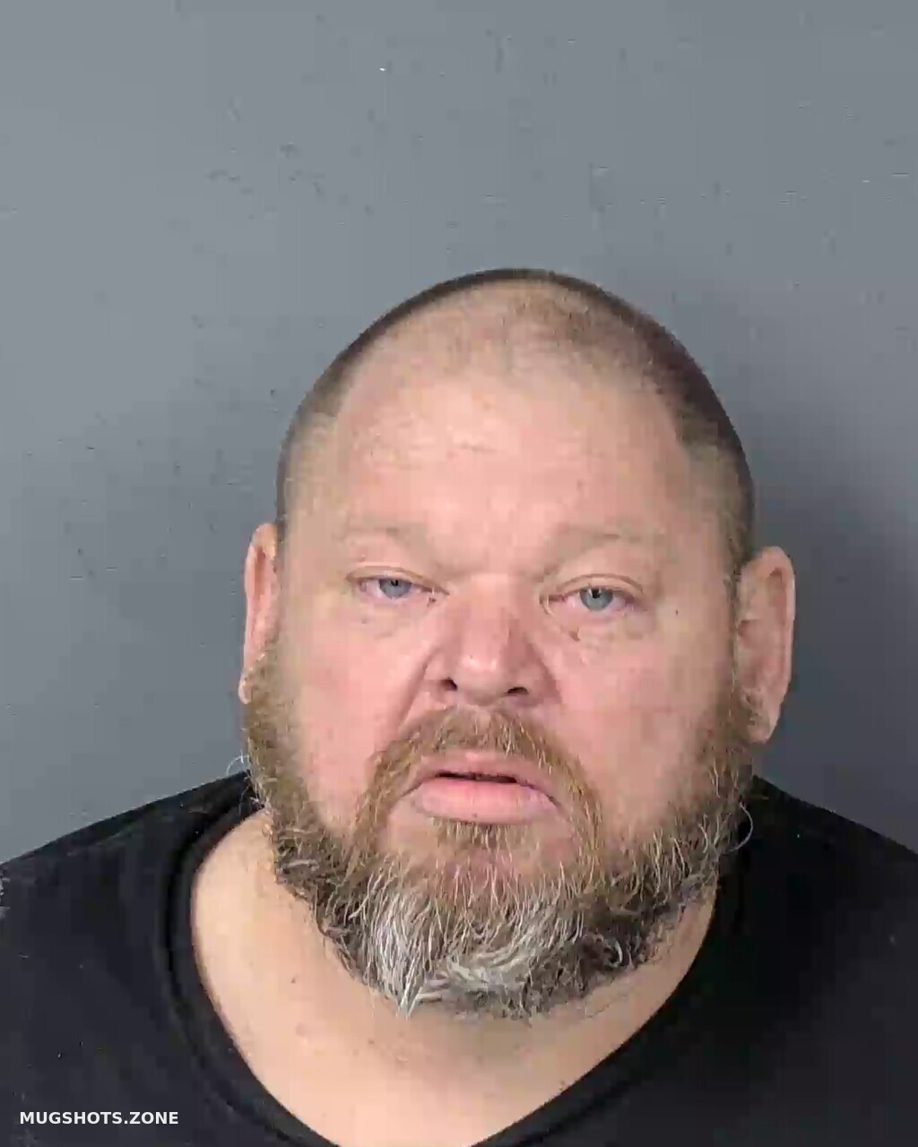 SNYDER BRIAN PAUL 12/26/2025 - Hernando County Mugshots Zone