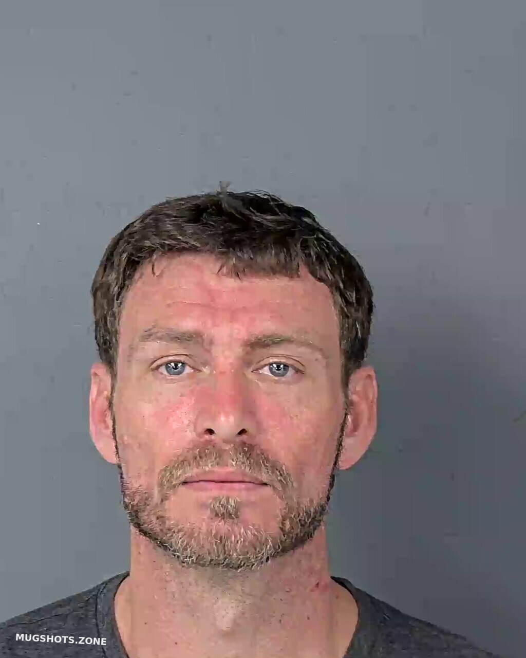 HILEMAN ROBERT WILLIAM 12/28/2025 - Hernando County Mugshots Zone