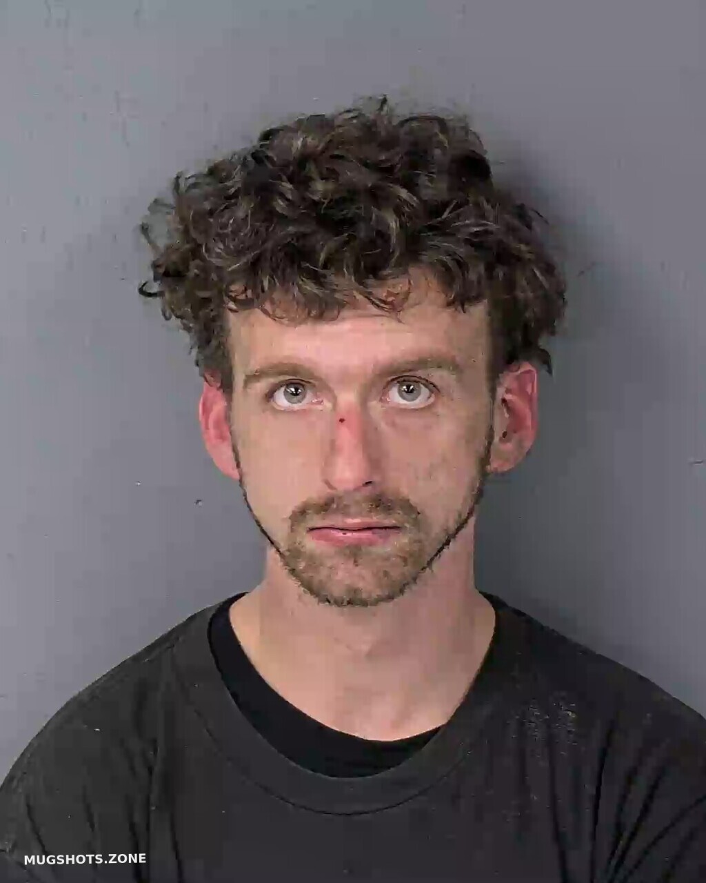 ESTRIDGE AARON MICHAEL 01/12/2026 - Hernando County Mugshots Zone
