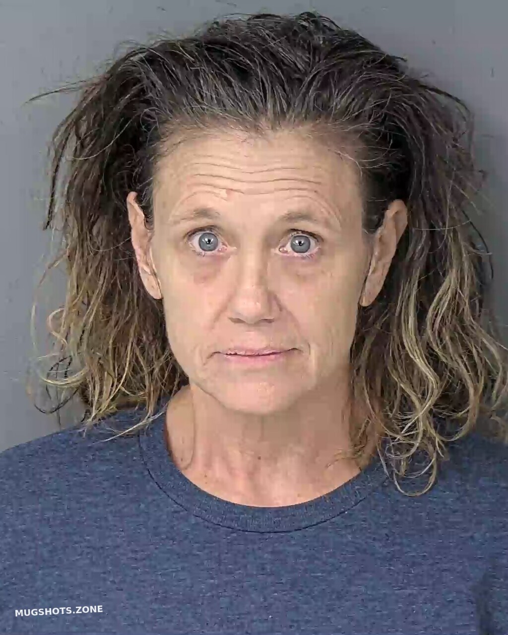 BENEDICT VICTORIA EILEEN 01/14/2026 - Hernando County Mugshots Zone