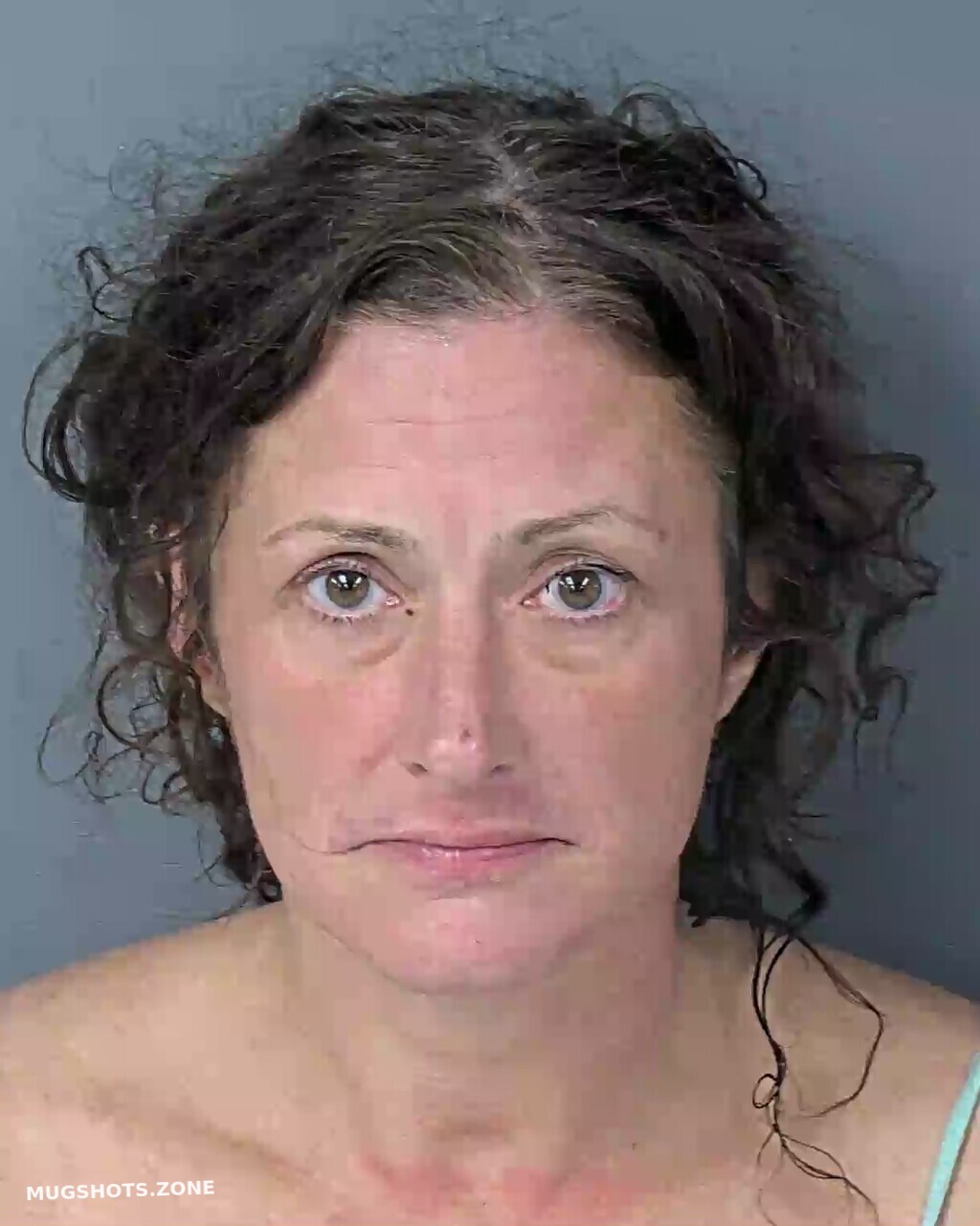 KRAMER MINDY SUSAN 01/15/2026 - Hernando County Mugshots Zone