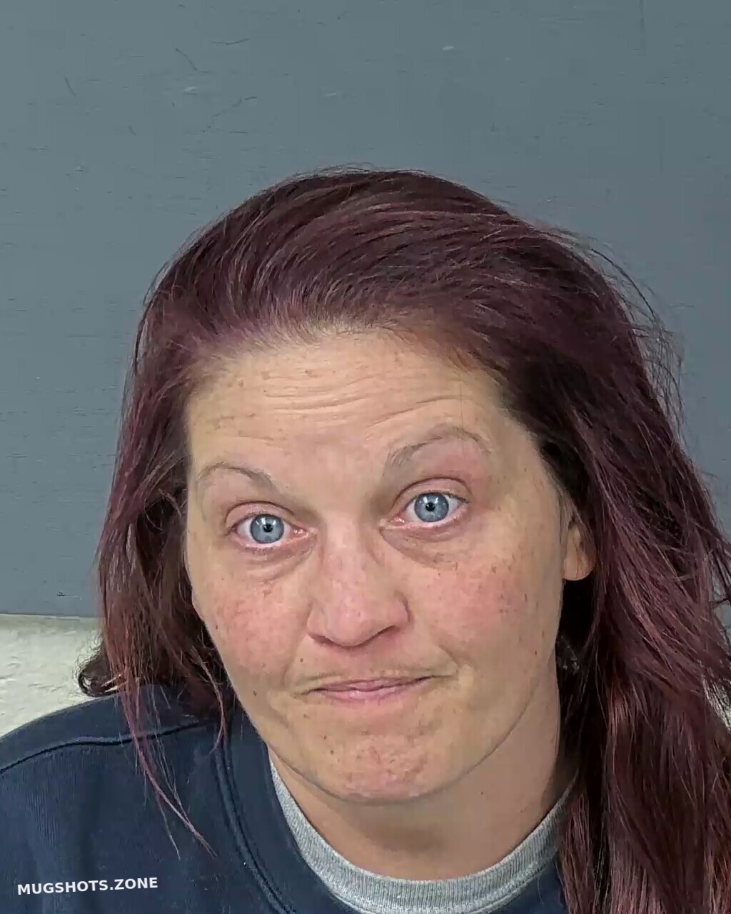 ROOK JESSICA LYNN 01/20/2026 - Hernando County Mugshots Zone