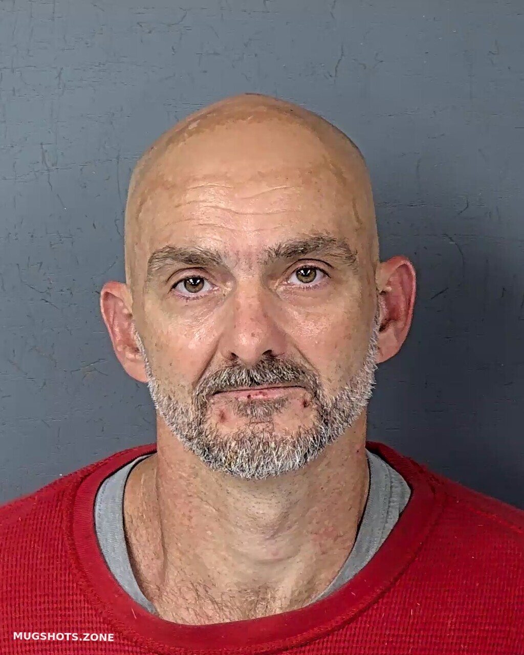NICHOLS WILLIAM HOWARD 01/28/2026 - Hernando County Mugshots Zone