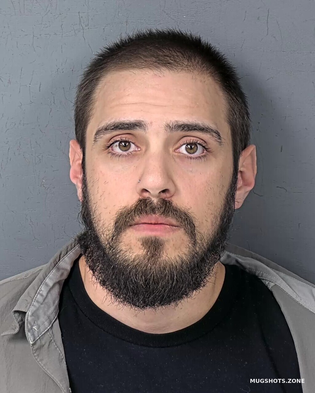GOTHAM BRETT ANDREW 02/02/2026 - Hernando County Mugshots Zone