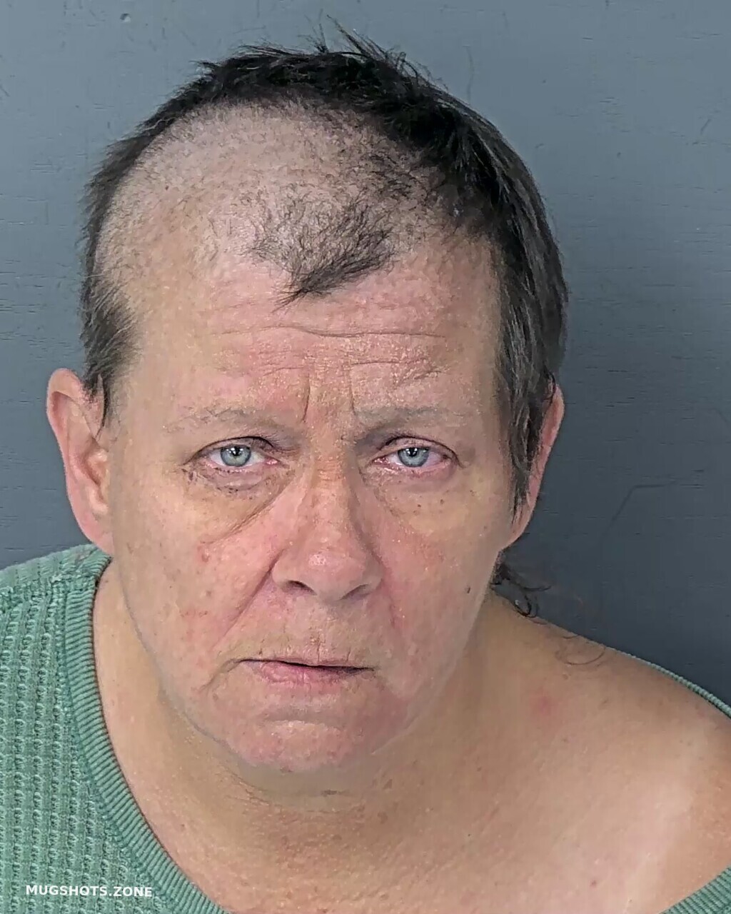 WRIGHT MANDY JO 02/02/2026 - Hernando County Mugshots Zone