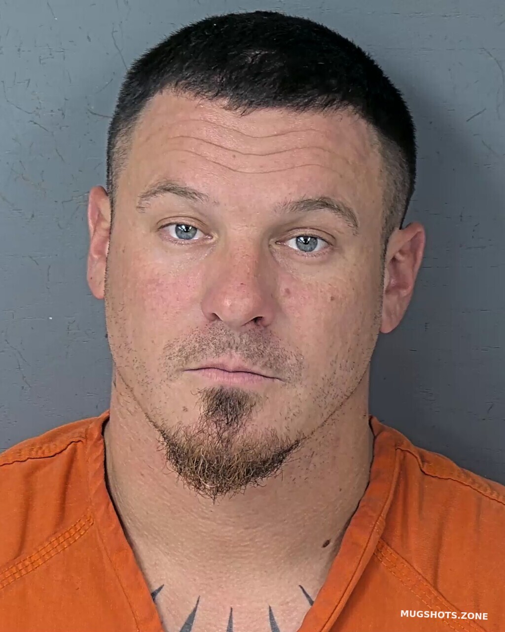 Collins Kenneth Taylor 02 12 2026 Hernando County Mugshots Zone