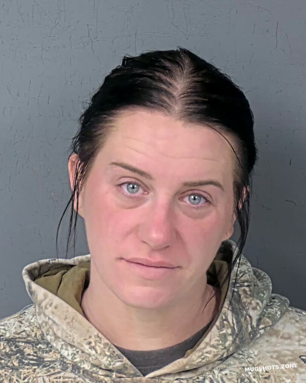 JONES HAYLEY VIRGINIA 02/12/2026 - Hernando County Mugshots Zone