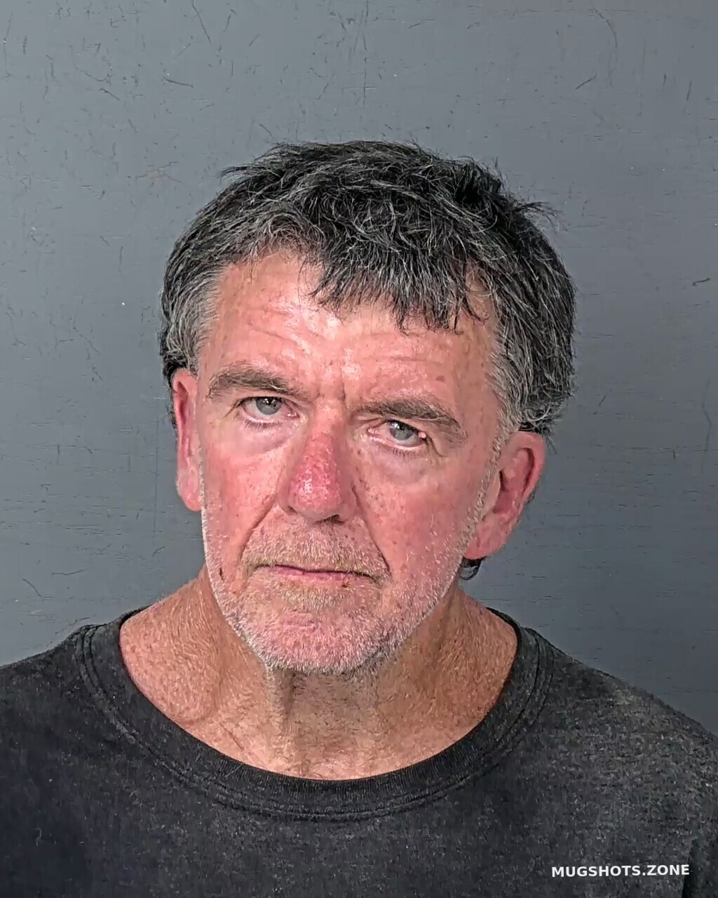 RAU ALLAN JOHN 02/17/2026 - Hernando County Mugshots Zone
