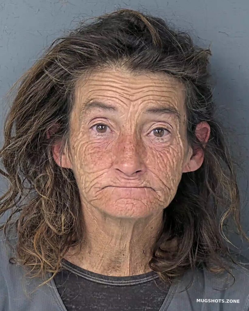 MOES DEBORAH ANNE 02/26/2026 - Hernando County Mugshots Zone
